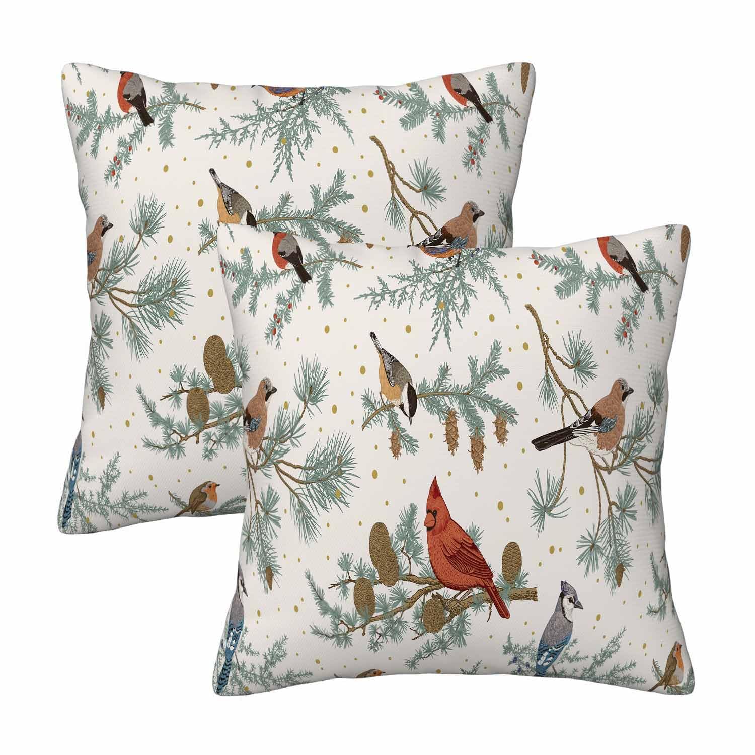 Amazon.com: LoLo UoUo Winter Birds Throw Pillow Covers 18 x 18 Inch ...