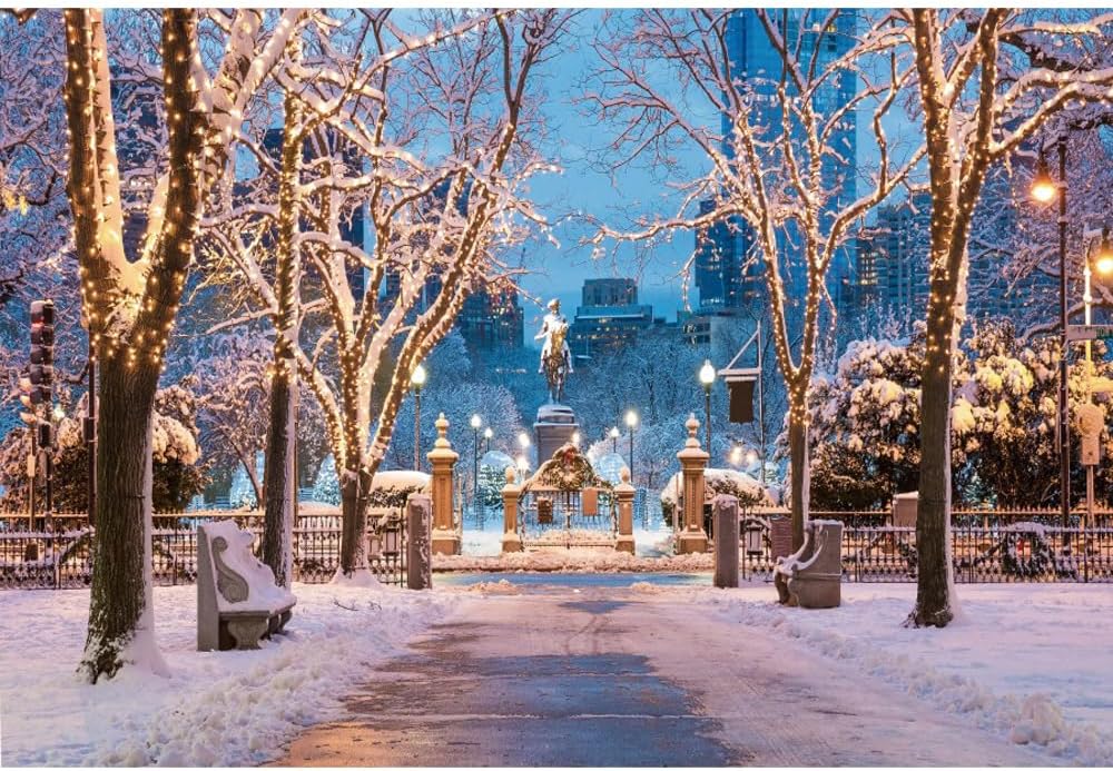 Amazon.com : OFILA Winter Park Backdrop 5x3ft Fabric Christmas Winter ...