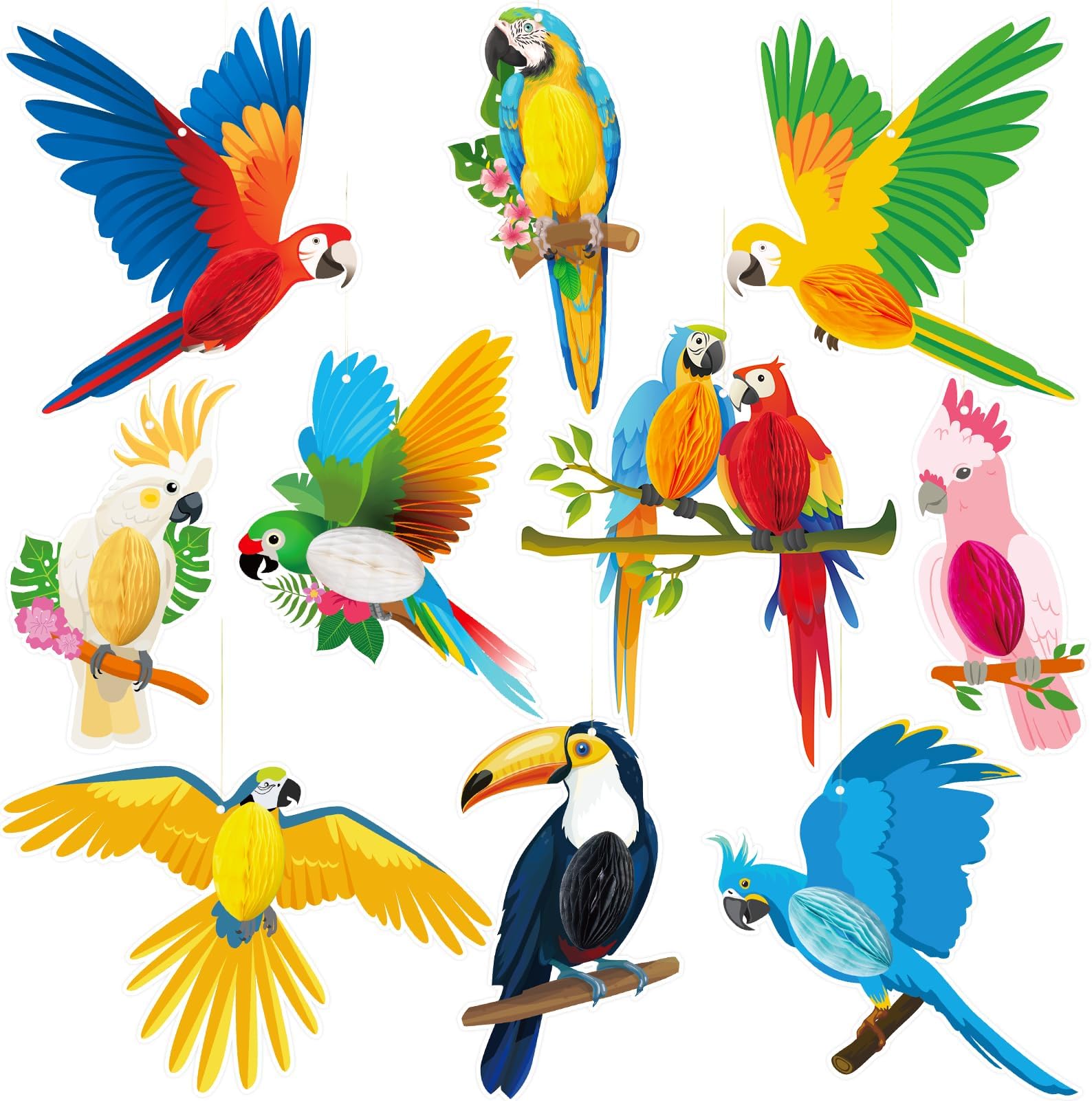 Amazon.com: 9 pcs Tropical Birds Honeycomb Cutouts, BOSOIRSOU Hanging ...