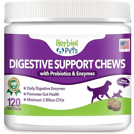 Amazon.com: Herbion Pets Digestive Support Chews with Probiotics and ...