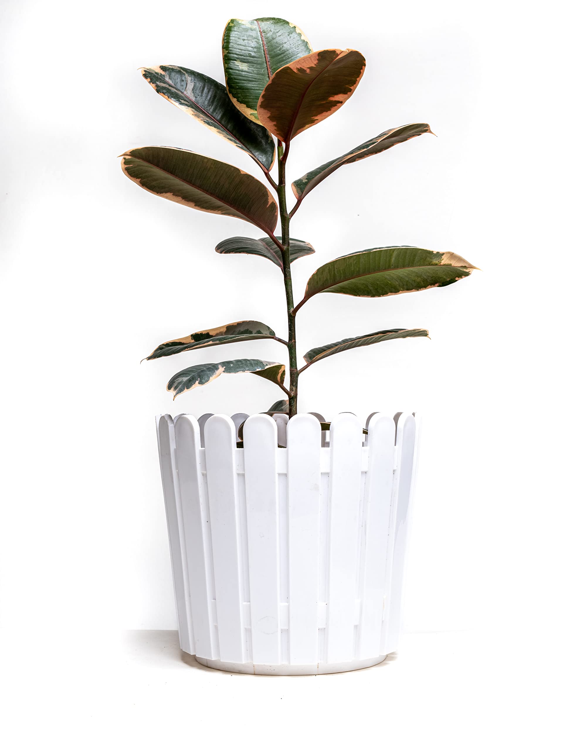Nested Greens - Fence Pot 11” Inch | Indoor Plant Container | 11 inch ...