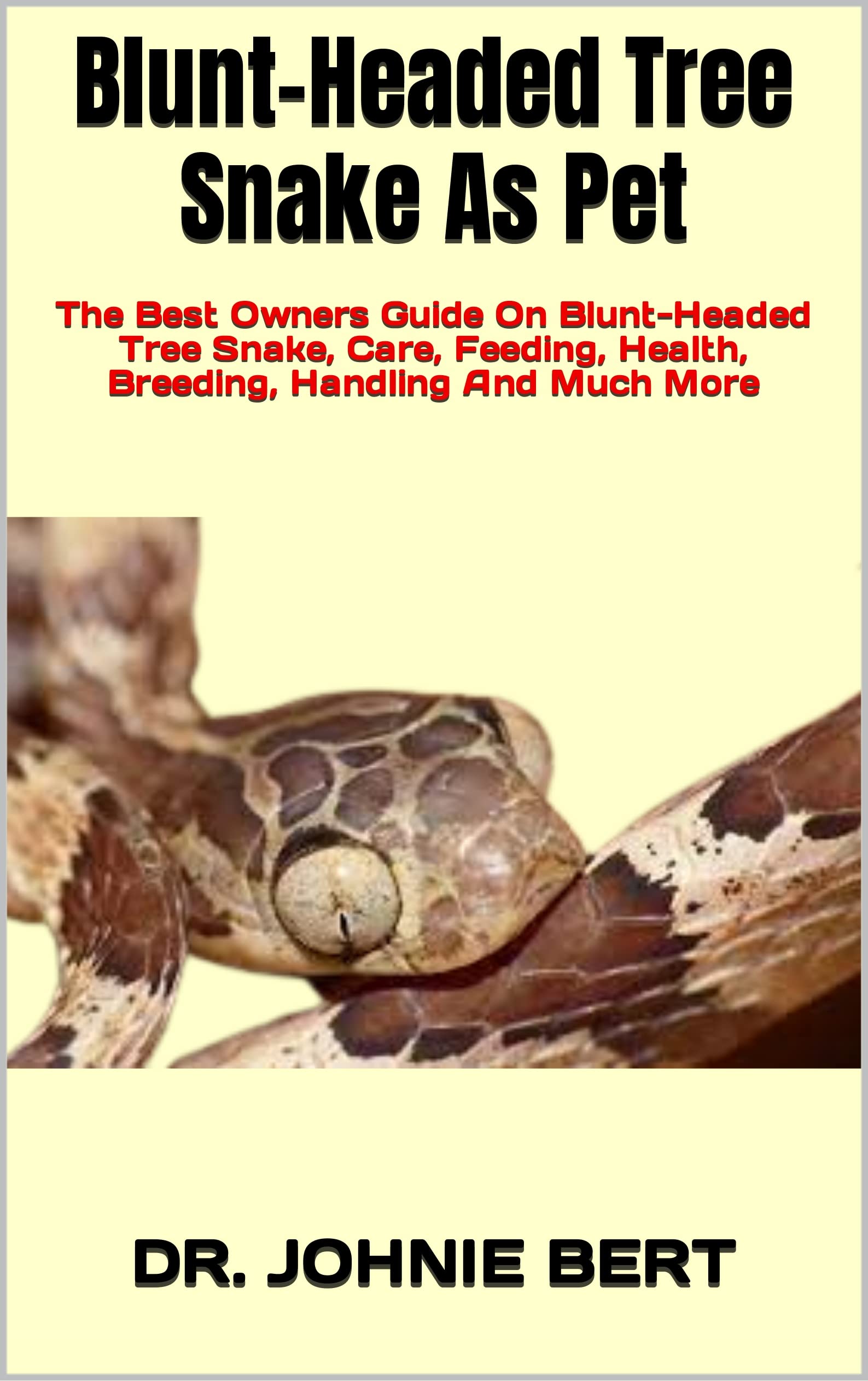 Buy Blunt-Headed Tree Snake As Pet : The Best Owners Guide On Blunt ...