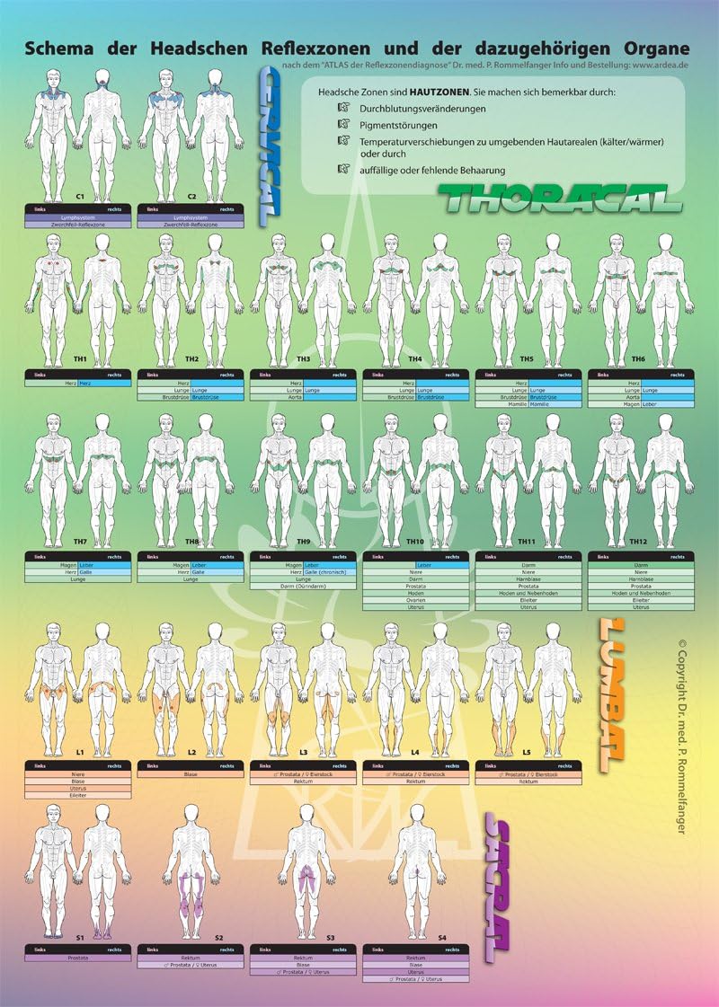 4-Elementeverlag Poster: Reflexzonen nach Head - Ungerahmt : Amazon.de: Küche, Haushalt & Wohnen