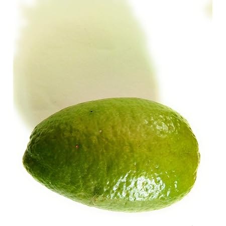 Tropical Exotics Assam Lemon/Kaji lemon (one live plant) : Amazon.in ...