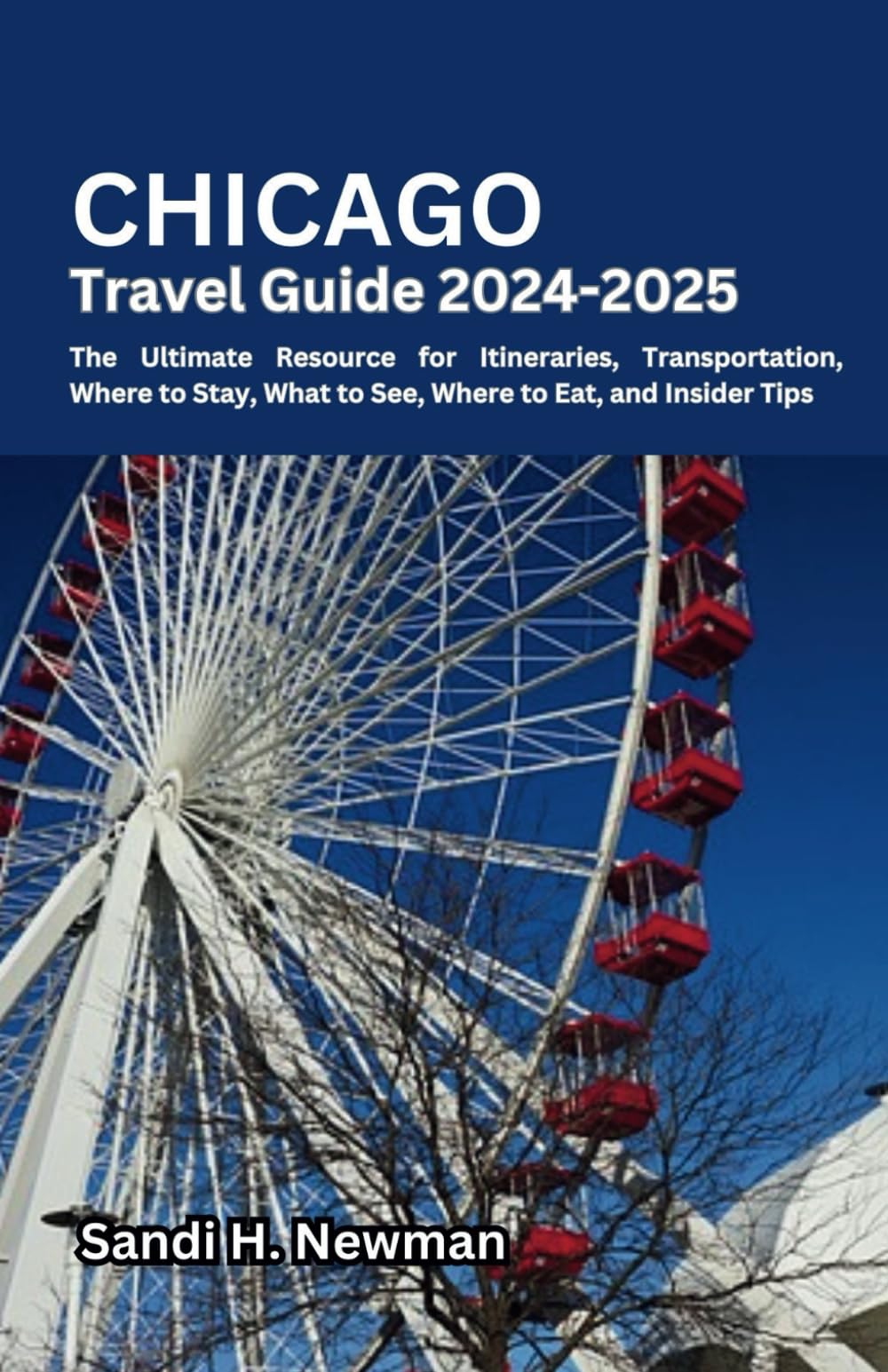 Chicago Travel Guide 2024 - 2025: The Ultimate Resource for Itineraries ...