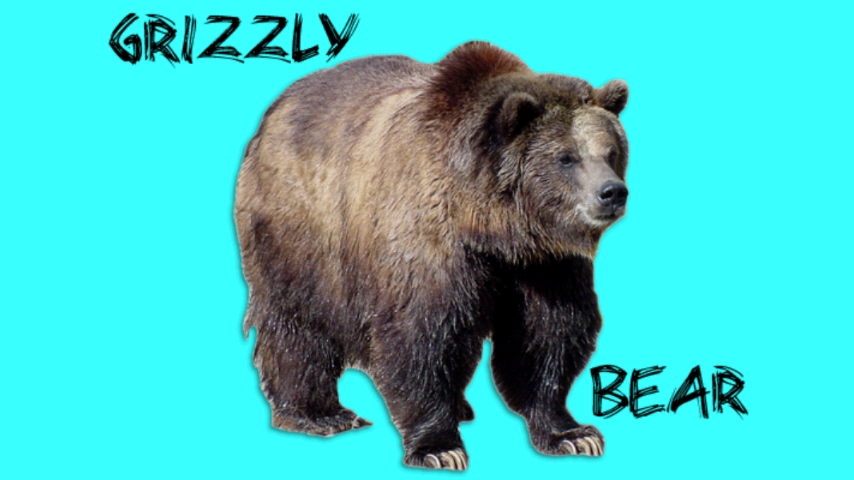 Toddler Animal Sounds - Things that Roar! - Free Edition - App on ...