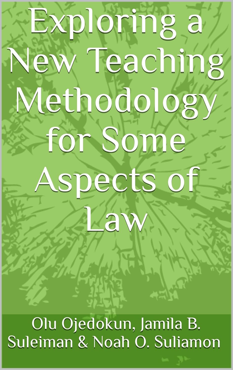 Exploring a New Teaching Methodology for Some Aspects of Law - Kindle ...