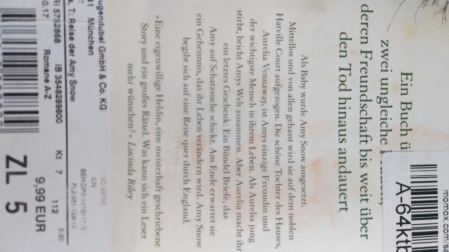 Die Reise der Amy Snow: Roman eBook : Rees, Tracy, Peschel, Elfriede ...