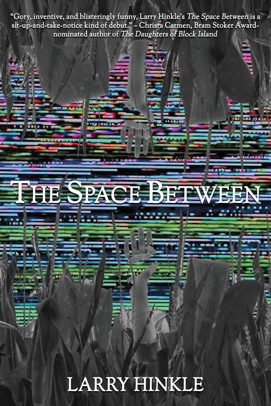 The Space Between: Hinkle, Larry: 9781685101213: Amazon.com: Books