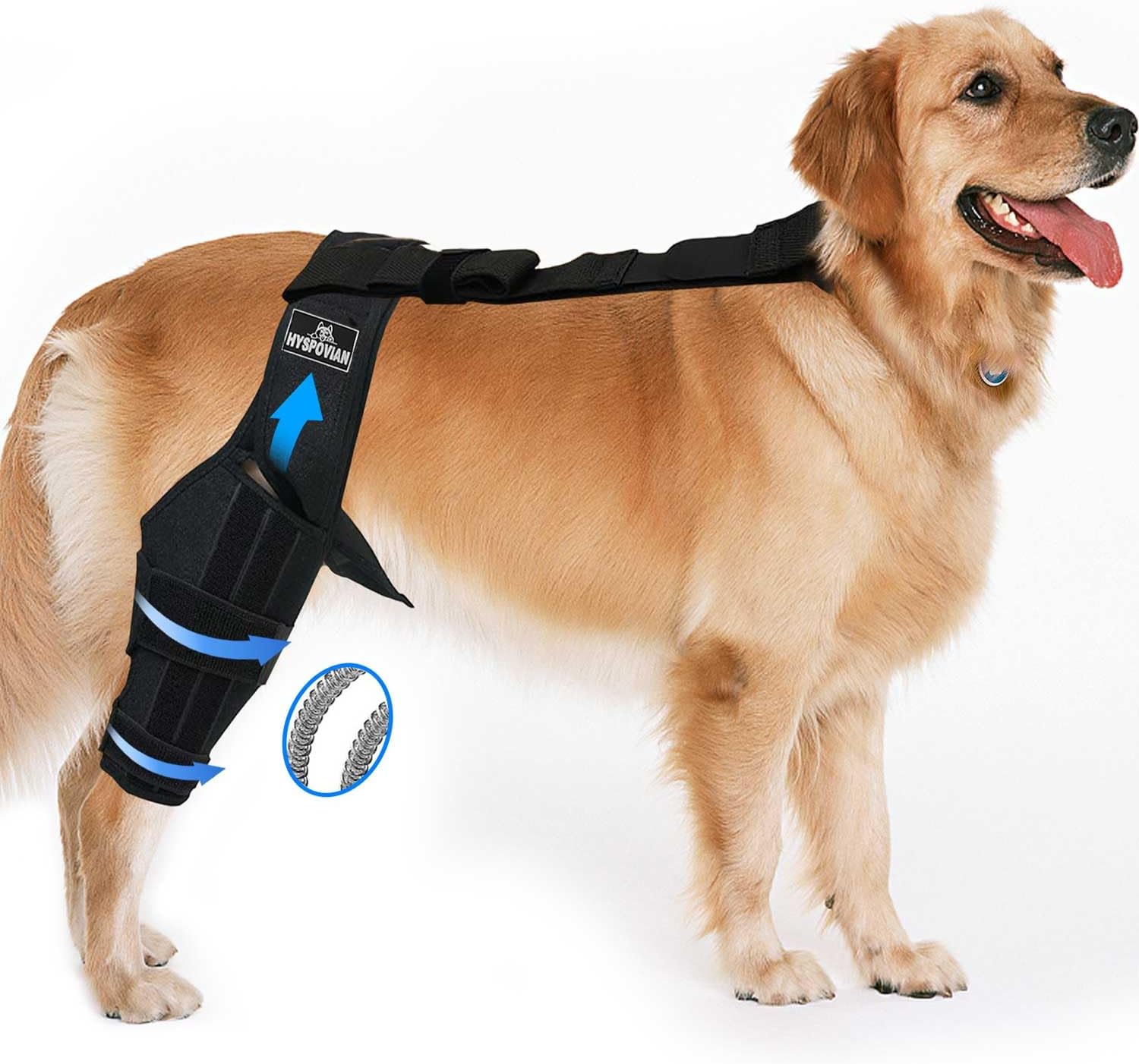 Amazon.com : Hyspovian Adjustable Dog Leg Brace Universal for Limbs with Extra Straps, Dog Knee ...