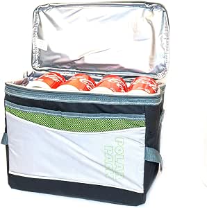 Amazon.com: Dollar Daze Plus Polar Pack Insulated 30 Can Collapsible ...