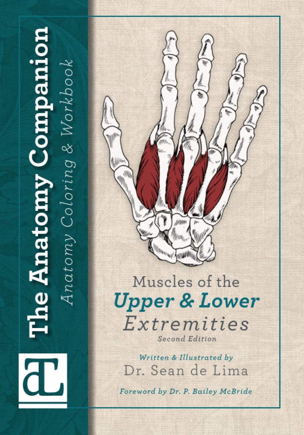 The Anatomy Companion Coloring & Workbook: Muscles of the Upper and ...