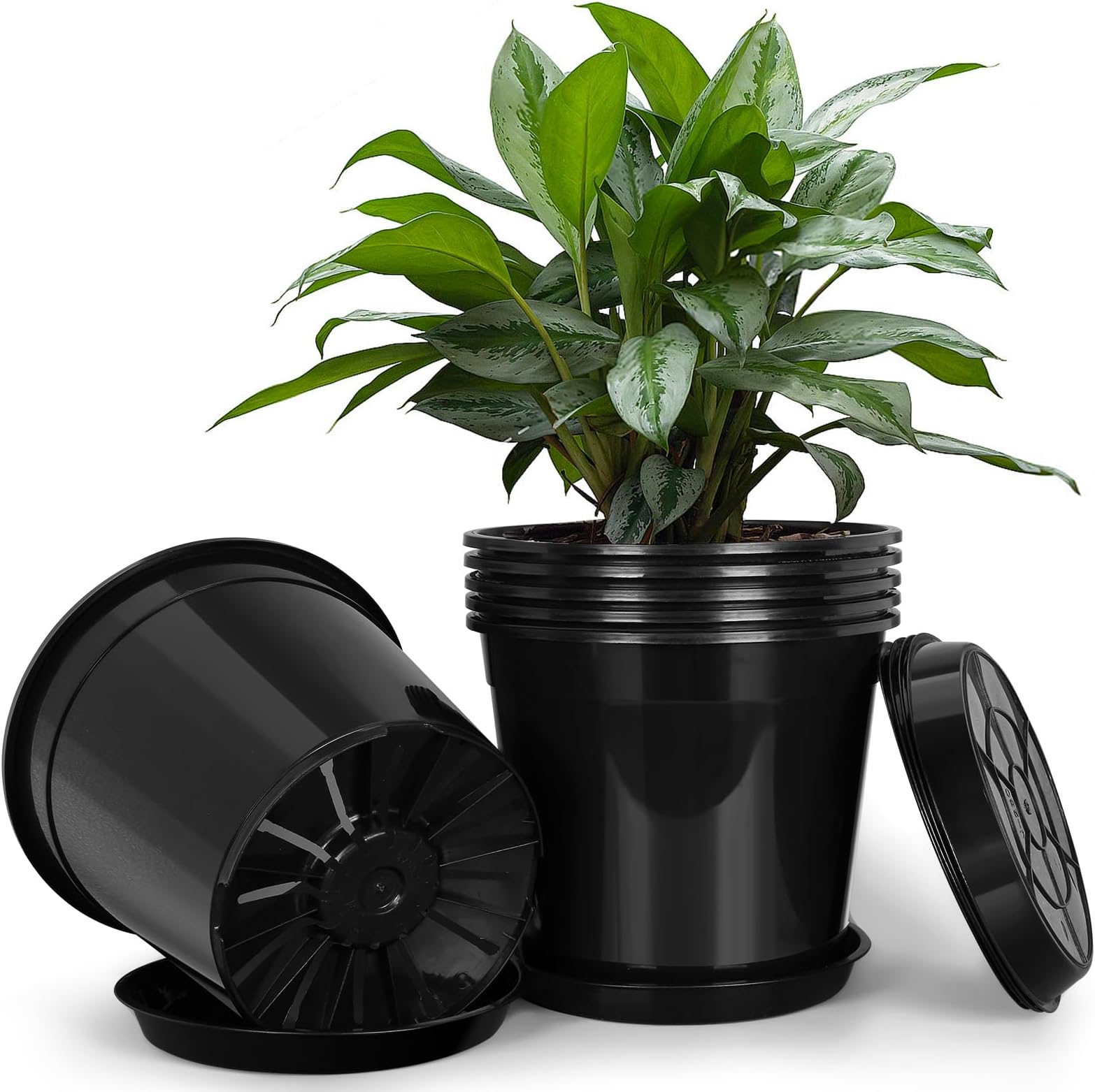 Amazon.com: Starting Gardens 3 Gallon Nursery Pot, (Qty. 20), Full 3 ...