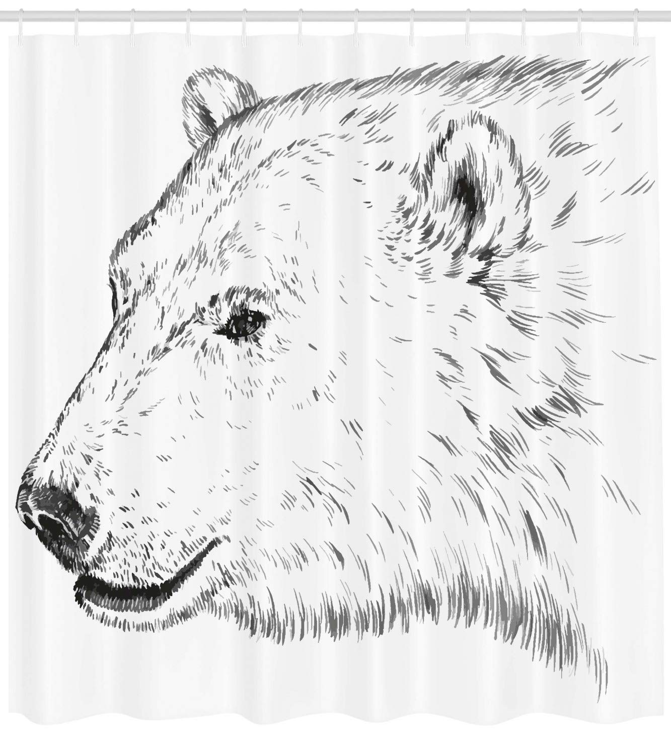 Bear Profile Drawing