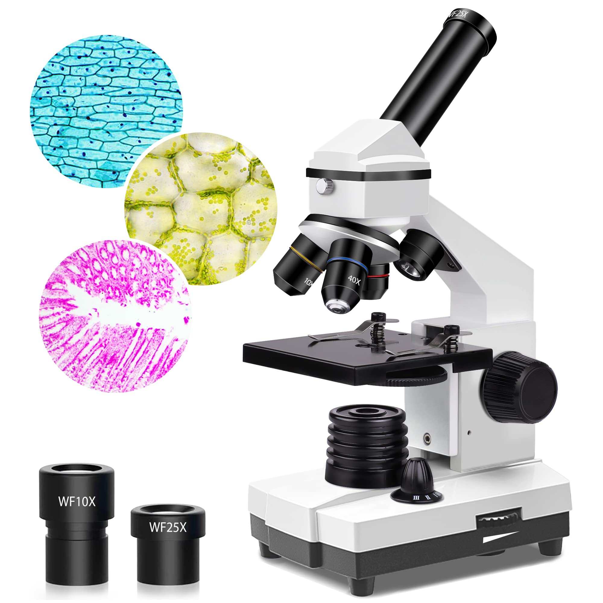 Buy PalliPartnersCompound Micro Powerful Biological Micros for School ...