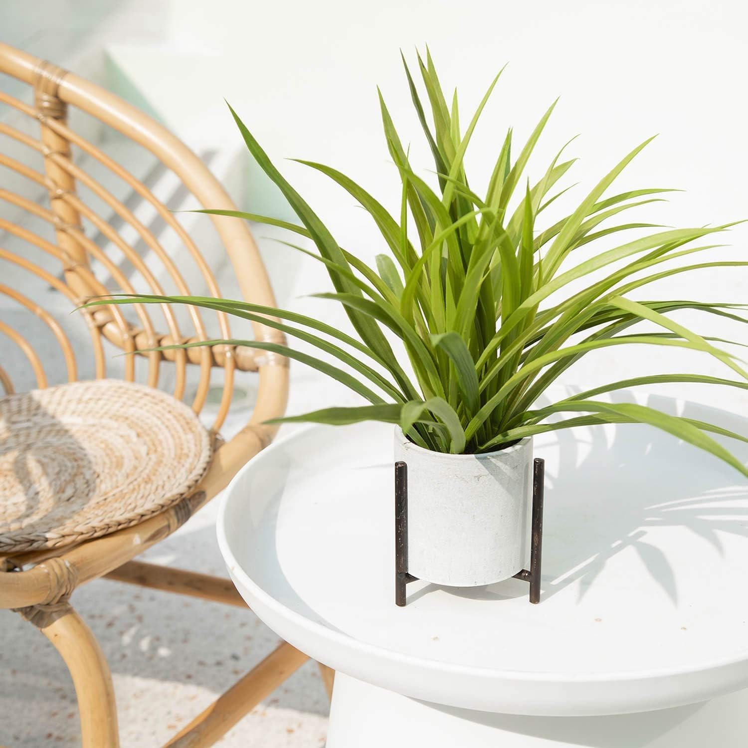 Amazon.com: 3 Packs Artificial Spider Plant, Silk Faux Chlorophytum ...