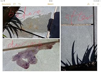 Lithofin Rust-EX Rust Remover 500 ml : Amazon.co.uk: Grocery