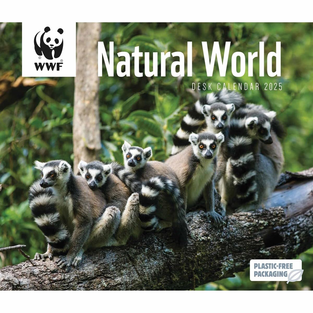 WWF Natural World - Boxed Calendar 2025 (PFP) : Amazon.co.uk ...