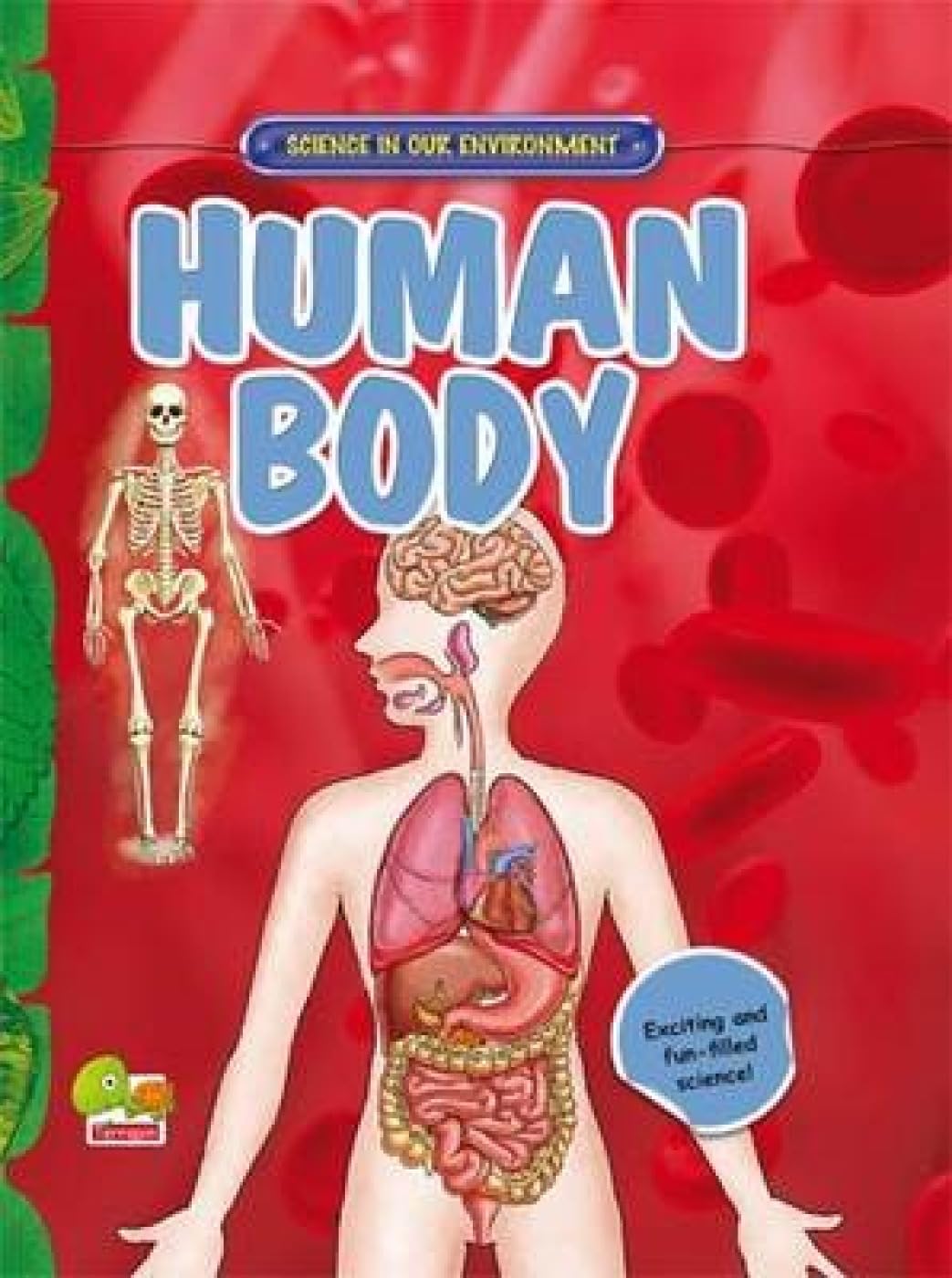 Amazon | Human Body: Key stage 2 (Science in Our Environment) | Kumar ...