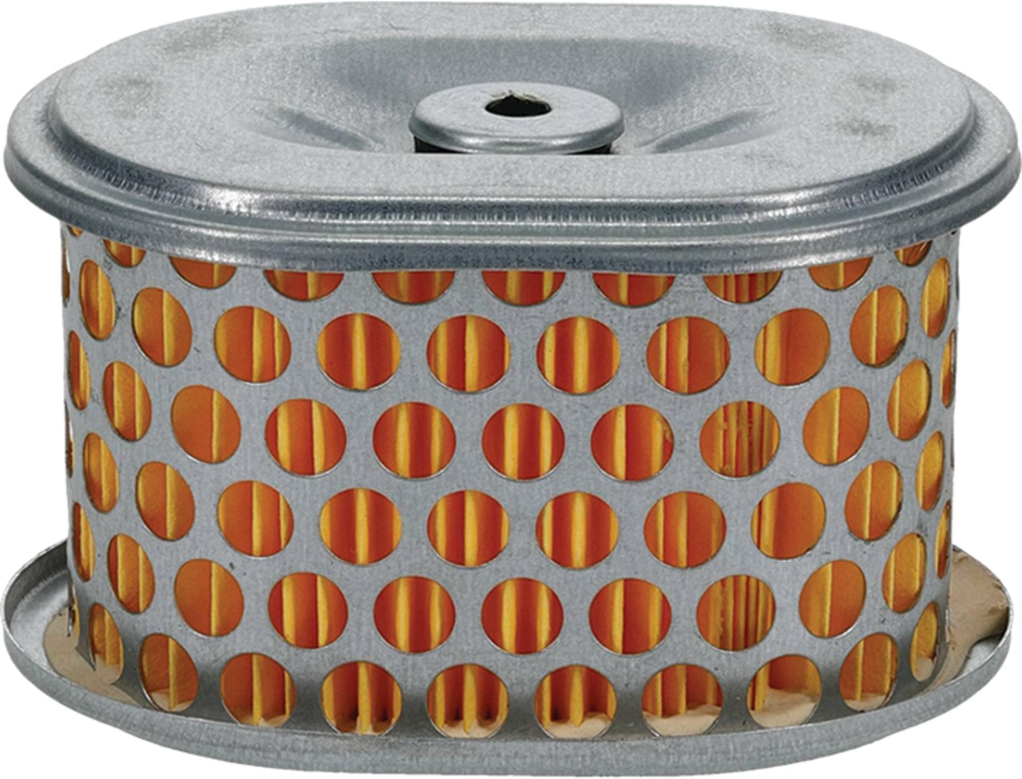 Amazon.com : Miller 198755 Air Filter,Robin (Eh64/65) Onan (Ohv220 ...