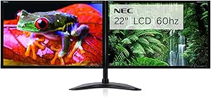 COMPUCLEAR Dual Monitor Setup 2x EA221WM, 22" LCD 1680 x 1050 TN W-LED ...