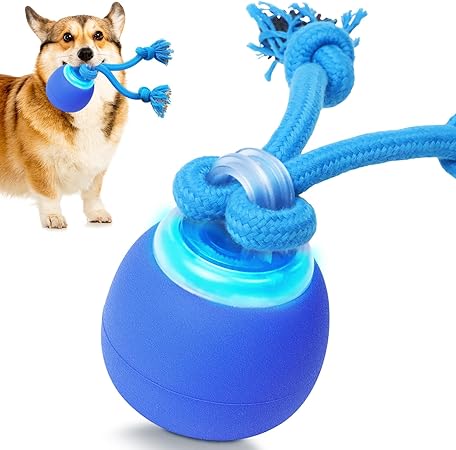 Pet Supplies : BENTOPAL Interactive Dog Toys to Keep Them Chase Busy ...