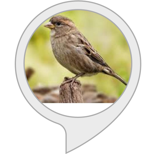 Amazon.com: Sparrow Facts : Alexa Skills