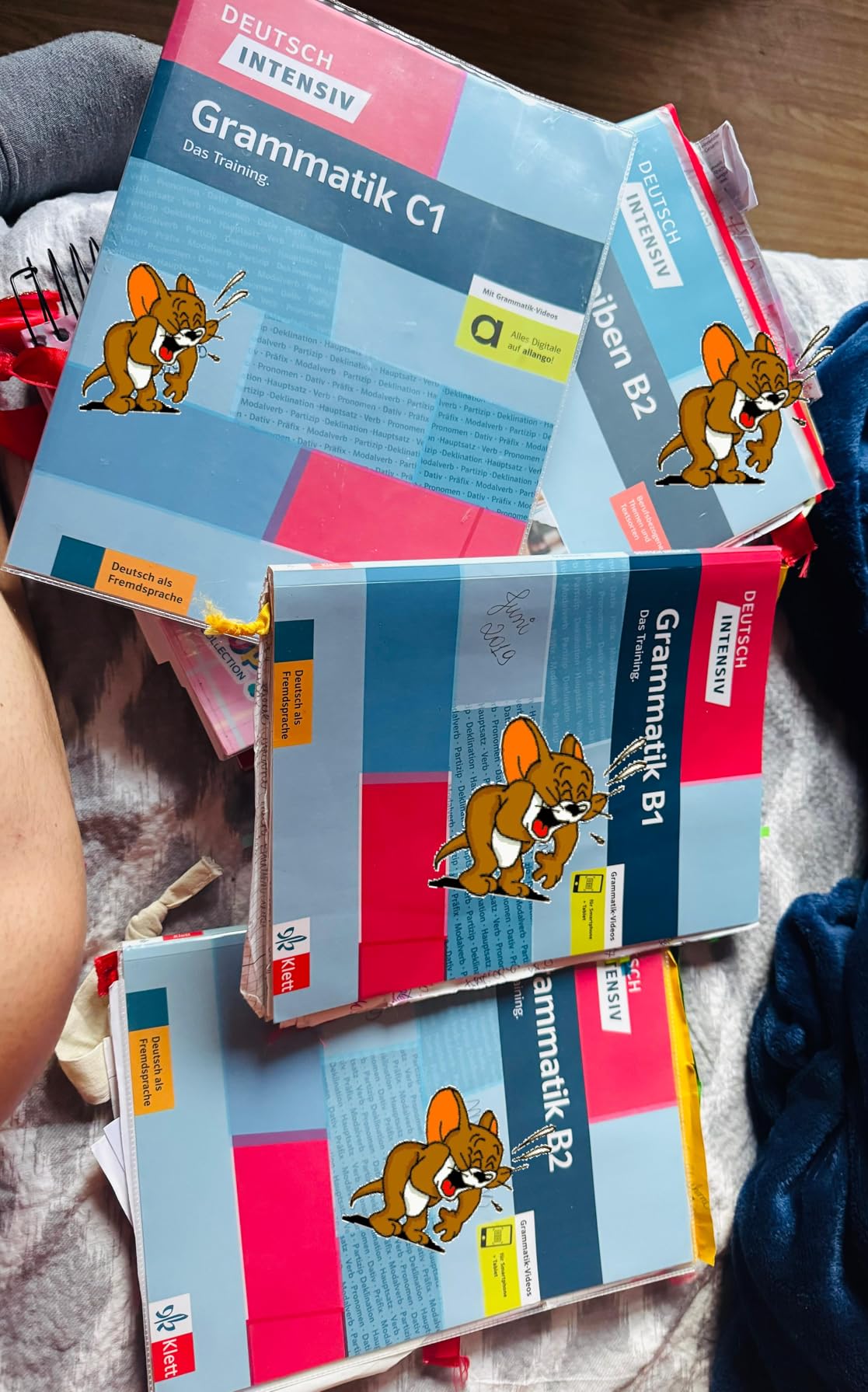 Deutsch intensiv Grammatik C1: Das Training. Buch mit Videos ...