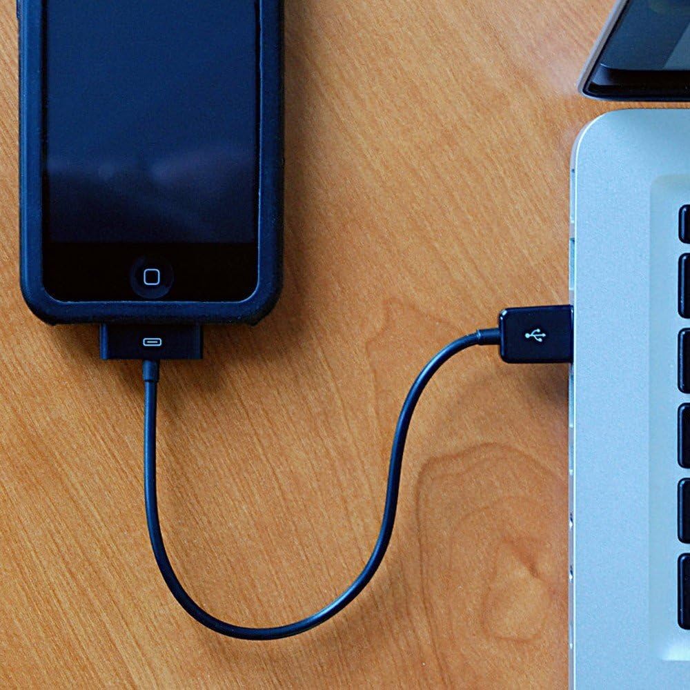 Amazon.com: CableJive iStubz USB to Dock Cable for iPhone/iPod - 22 cm ...