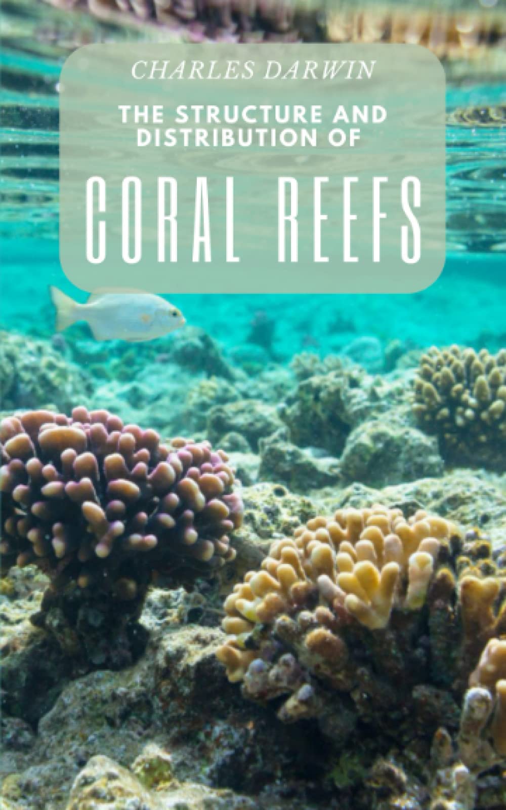 The Structure and Distribution of Coral Reefs: Darwin's Revolutionary ...