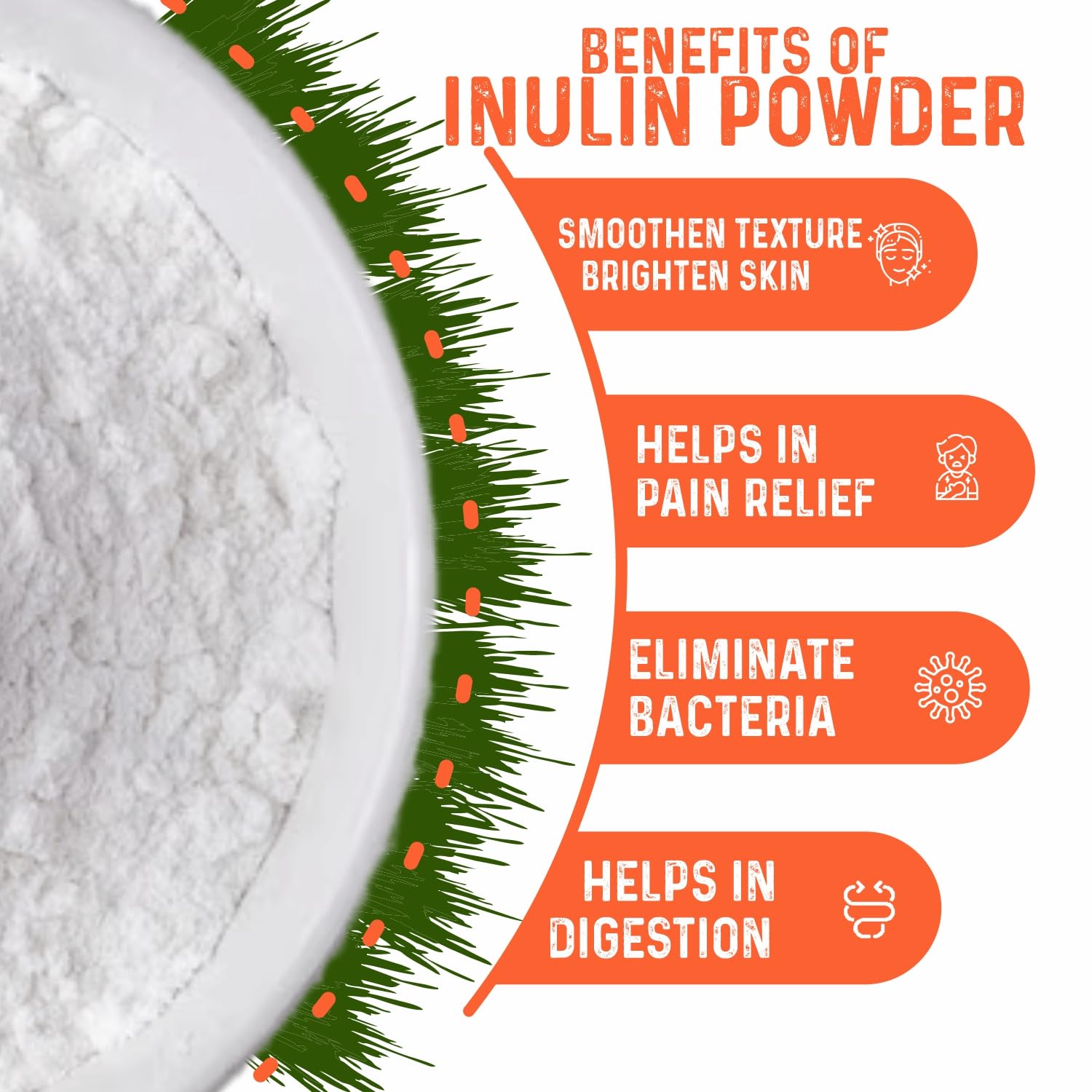 Inulin Powder Benefits