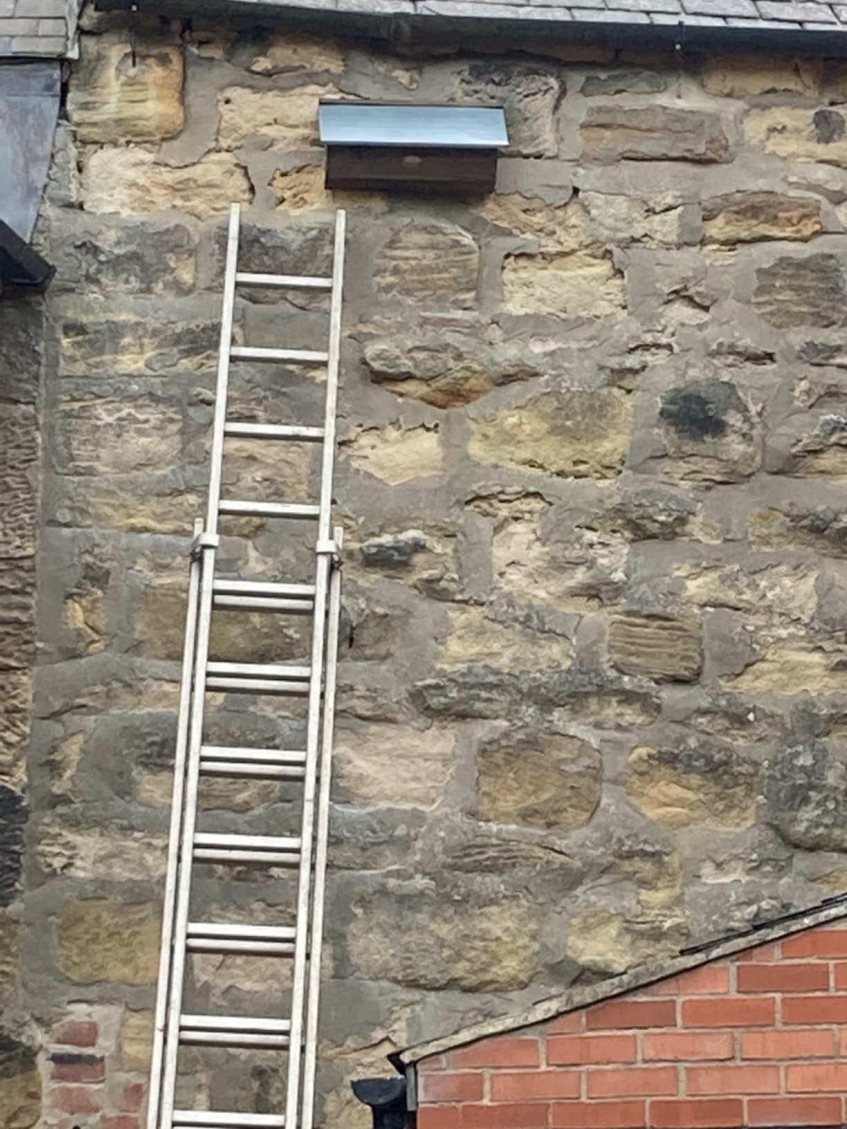 Swift Nest Box : Amazon.co.uk: Garden