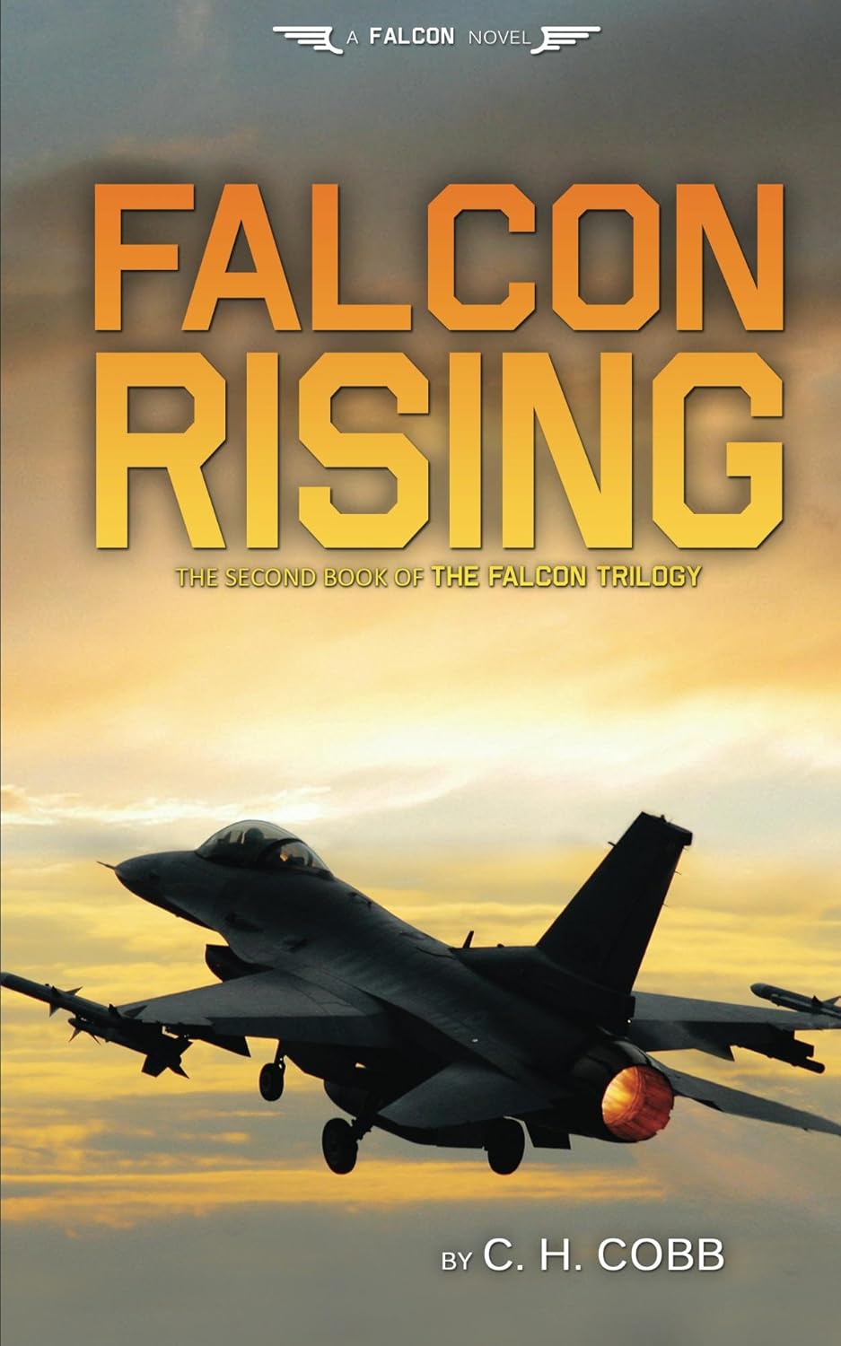 Amazon.com: Falcon Rising (Falcon Series Book 2) eBook : Cobb, C. H.: Books