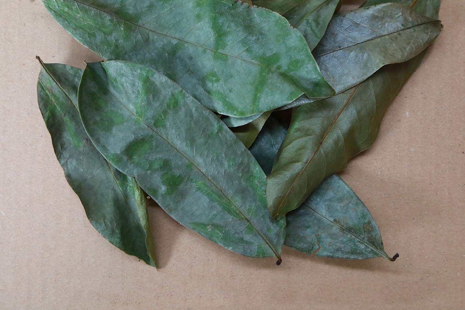 Dried Guyabano Leaves