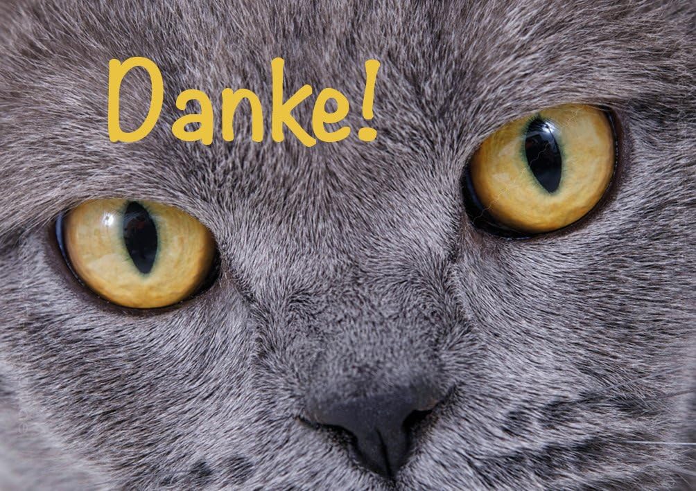 Doppelkarte, Karte, Grußkarte mit Kuvert "Danke" mit Katze, Katzenaugen ...