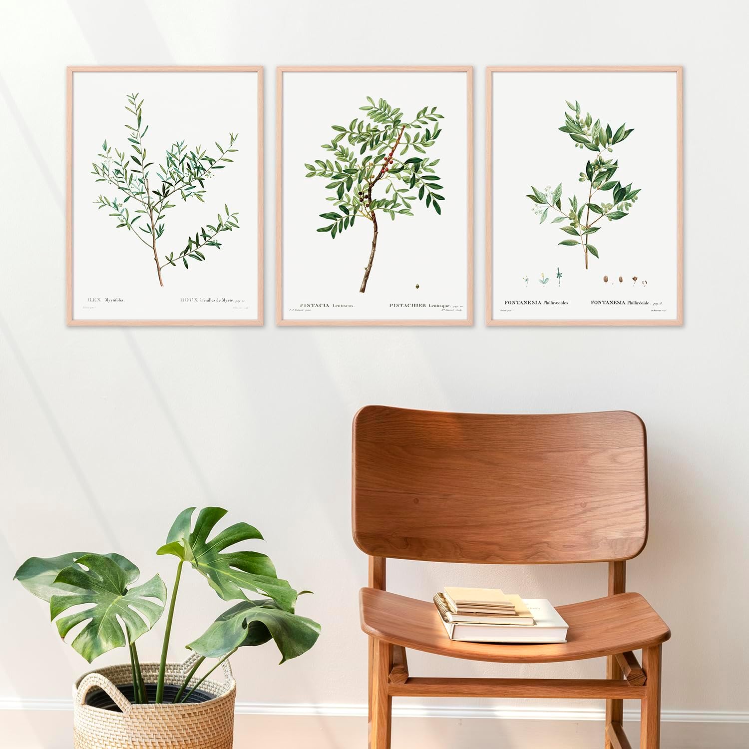 Amazon.com: CILFFVI Set of 3 Framed Botanical Canvas Prints, Green Leaf ...