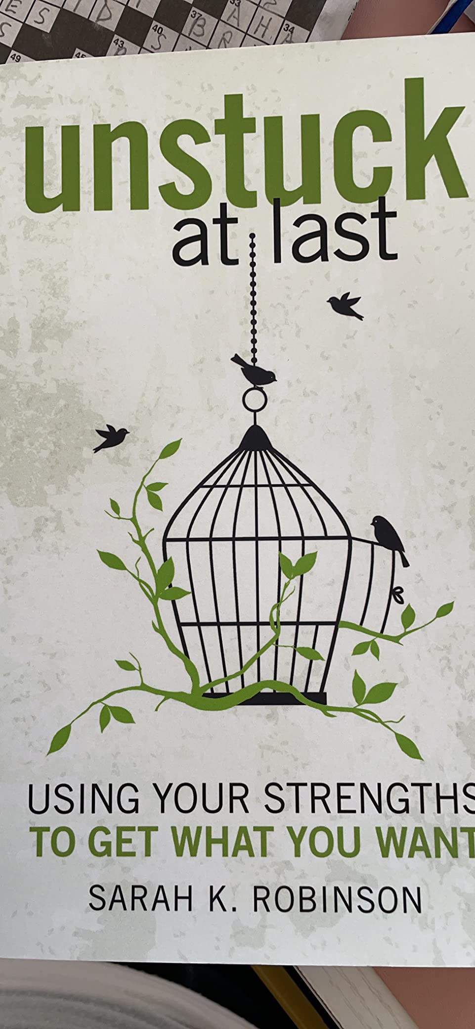 Unstuck At Last: Using Your Strengths to Get What You Want: Robinson ...