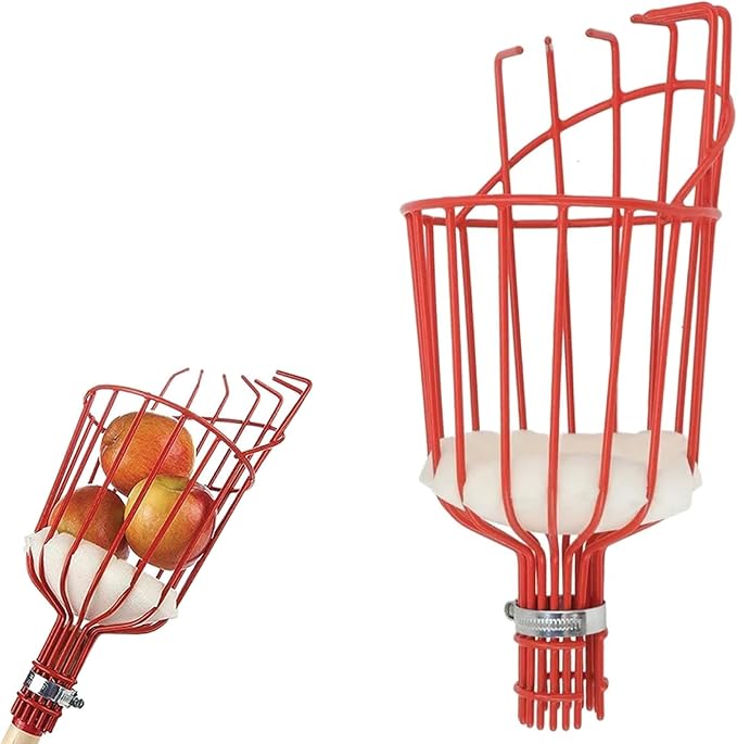 Amazon.com : Home-X Fruit Picker Basket - Sturdy Tree Picker Tool with ...