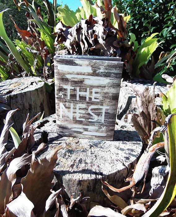Amazon.com: The Nest eBook : Oppel, Kenneth, Klassen, Jon: Kindle Store