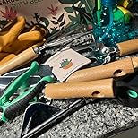Amazon.com : Grenebo All-in-One Garden Tool Set with Tools Organizer Belt Adjustable, 10-Piece ...