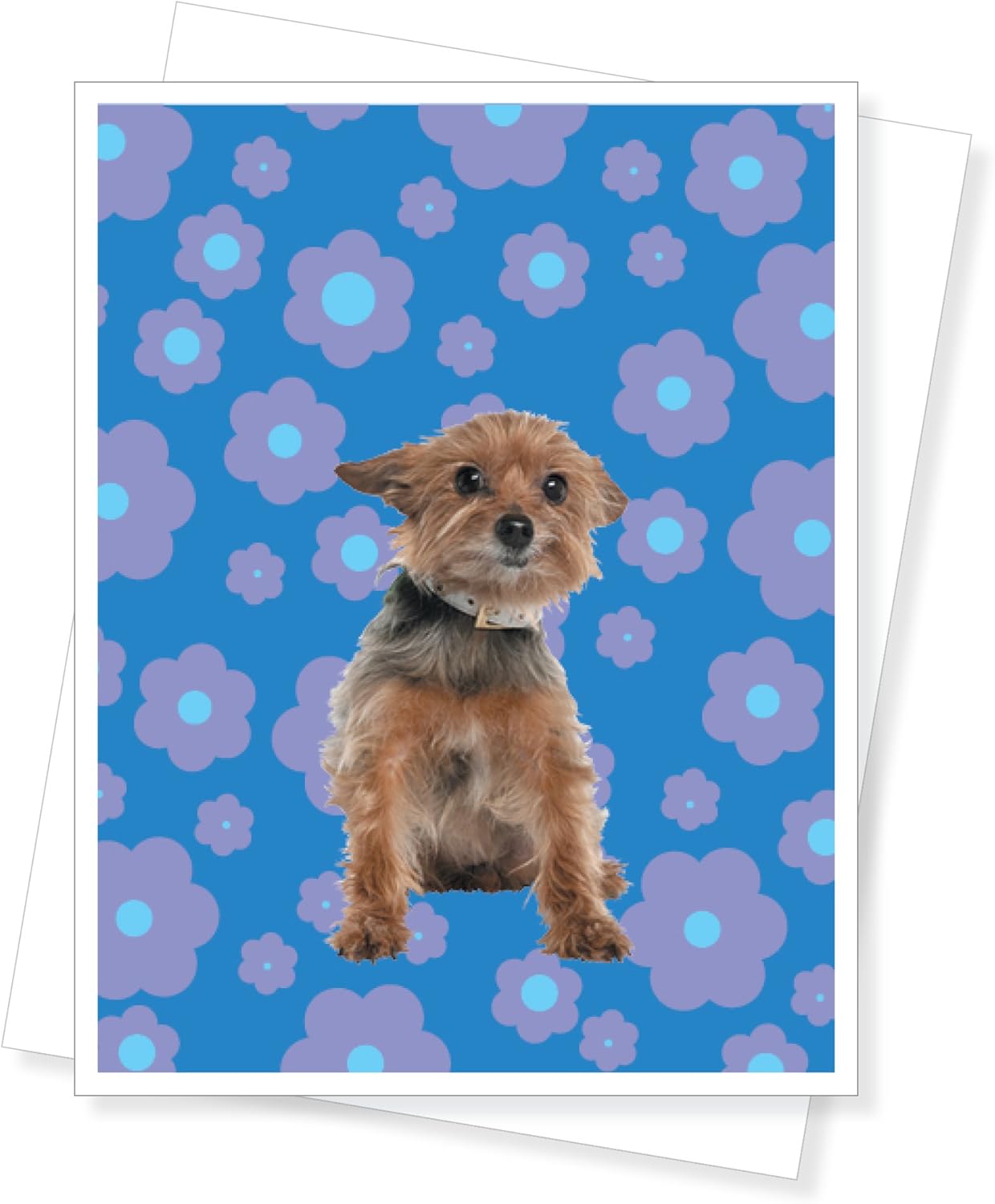 Amazon.com: Yorkie, Blank Note Cards - Set of 10 Greeting Cards ...