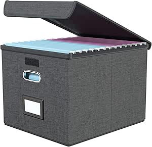 Amazon.com: ETELASE Portable File Organizer Box with Lid, Foldable ...