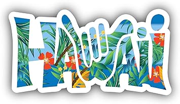 Amazon.com - Hawaii Ten Shaka Hang Loose Patterned Slogan Sticker | Car ...