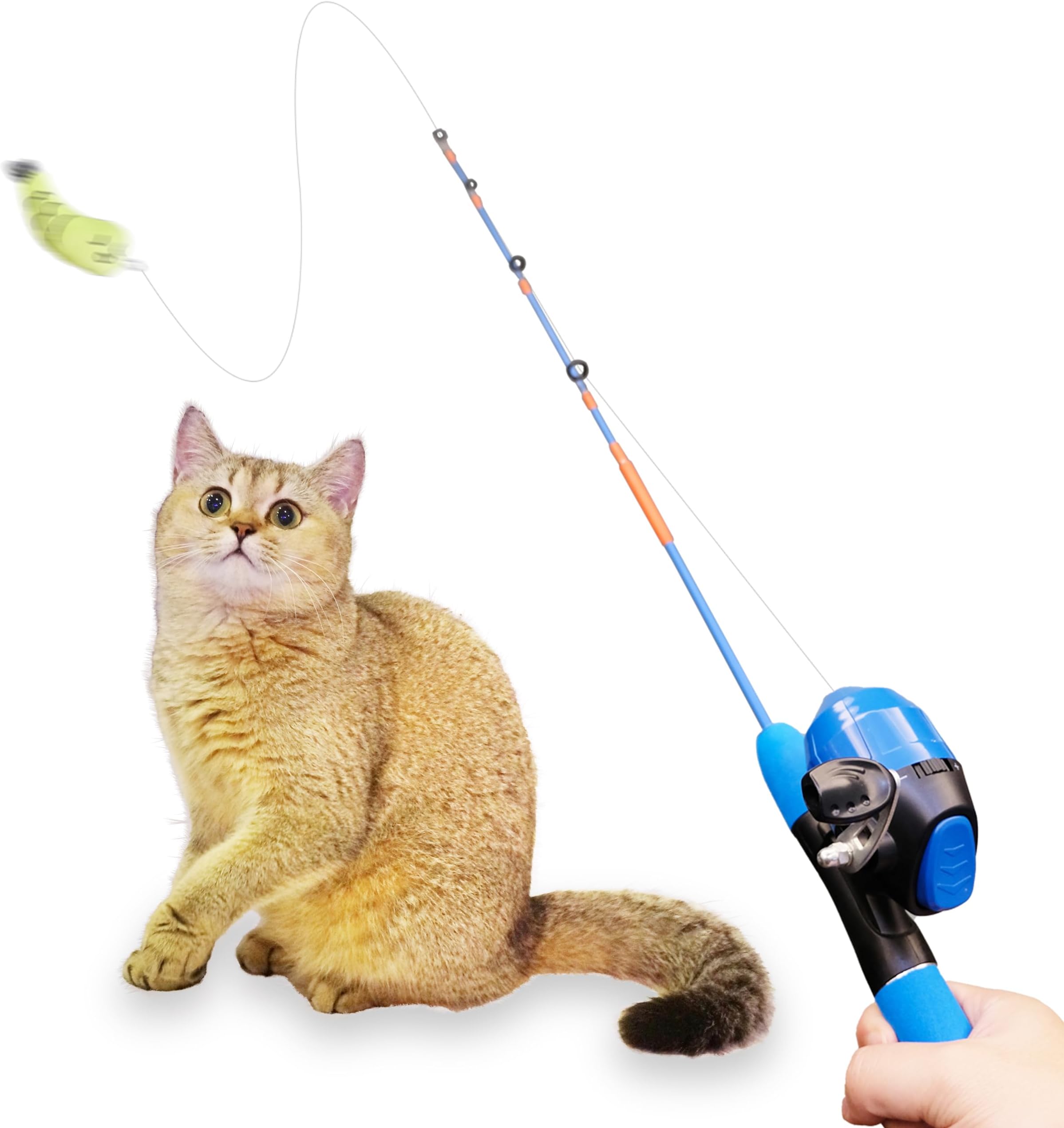 Amazon.com : Our Pets Go Fish Cat Fishing Pole Toy with Catnip Fish ...