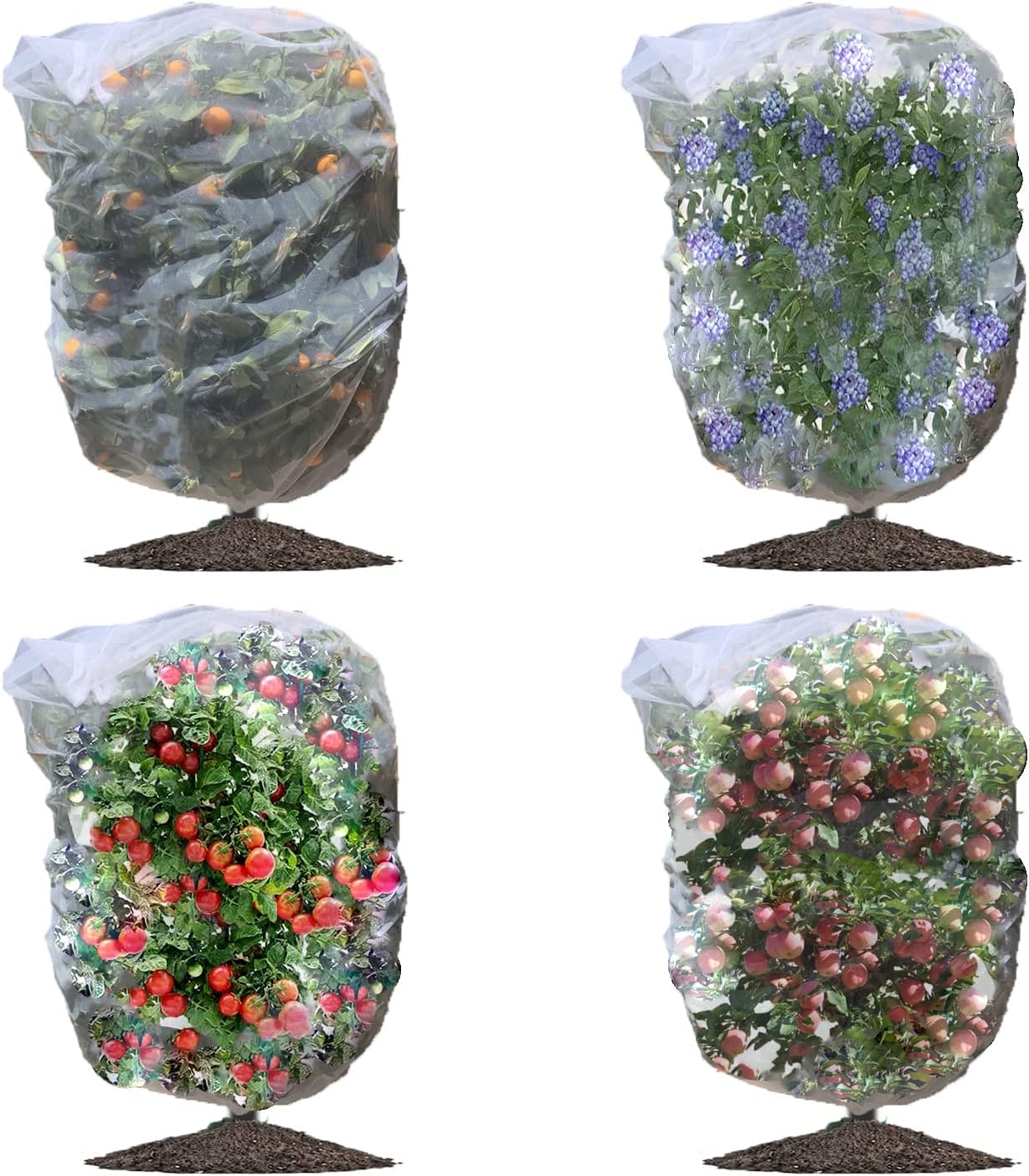 Amazon.com : 5 Pack Garden White Mosquito Bug Netting Bags with ...