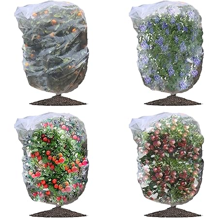 Amazon.com : Studio 21 Graphix 5 Pack Garden White Mosquito Bug Netting ...