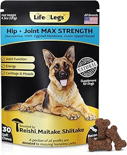Effective Home Remedies To Relieve Your Dog's Muscle Pain Safely | CyVigor