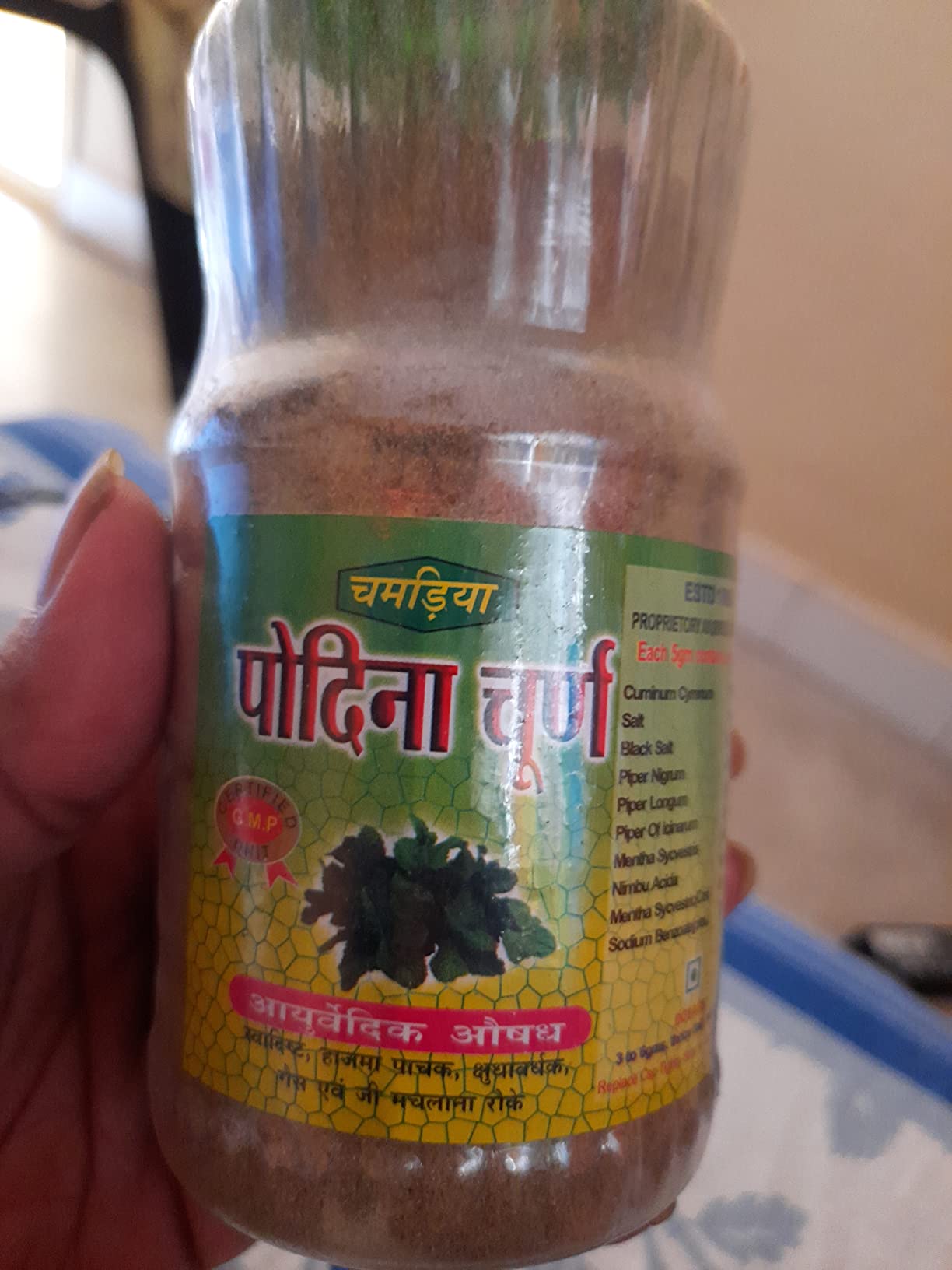 CHAMRIA PODINA CHURAN 150GRAMS (2 PACKS OF PACHAK/MASALA PUDINA ...