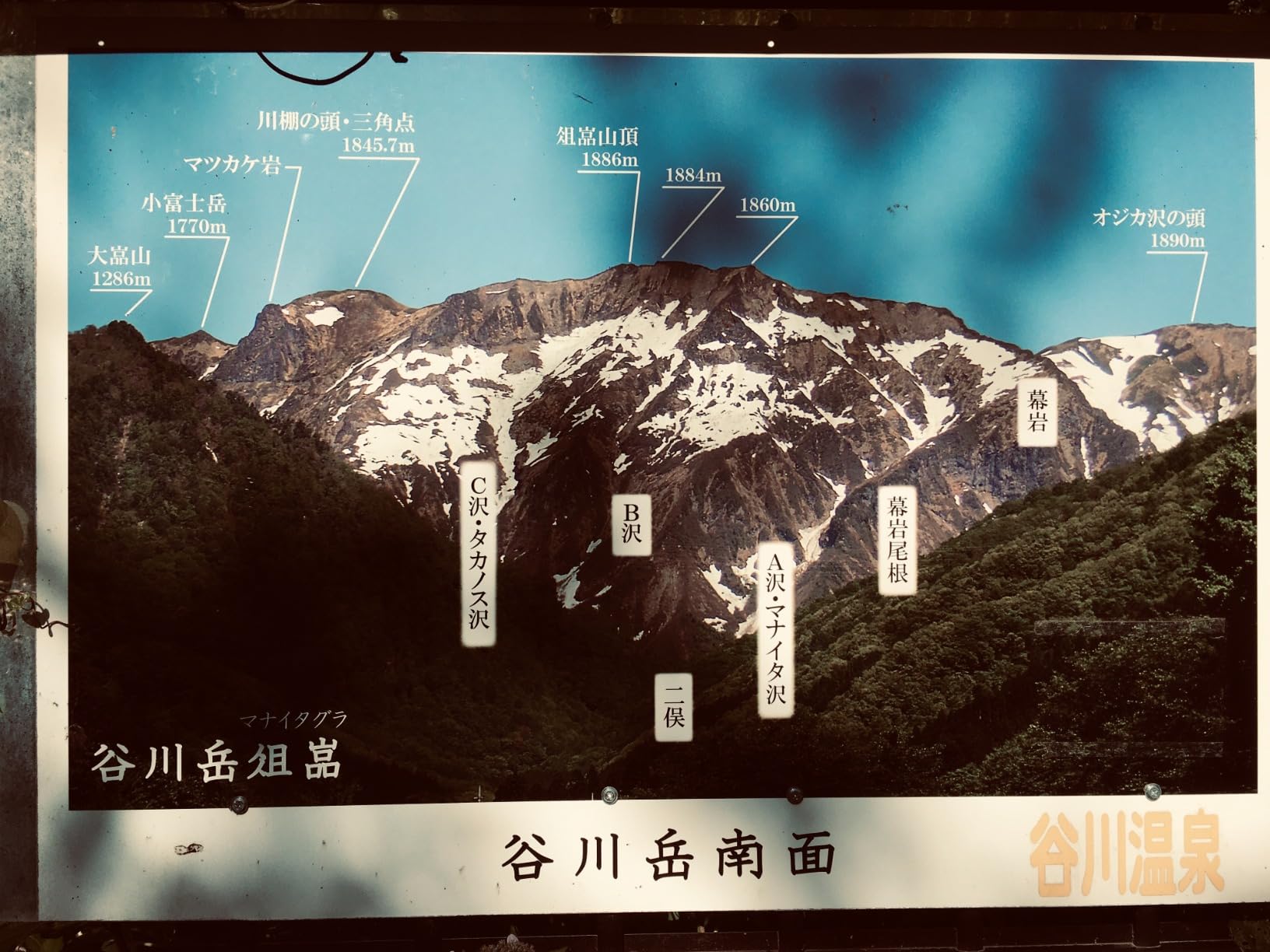 Amazon | TM ツリモン TURINGMONKEY 鱒レンジャー Next SP40 シャイングリーン | お買得品 | トラウトロッド