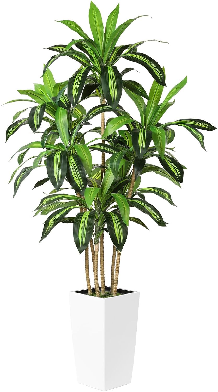 Amazon.com: PHYTREE 人造龍血樹植物 室內 - 5.5 英尺(約 5.5 公尺)假龍血樹 附白色高大的種植園 人造熱帶絲蘭 植物盆栽 適用於家庭 辦公室 客廳 裝飾 : 居家與廚房